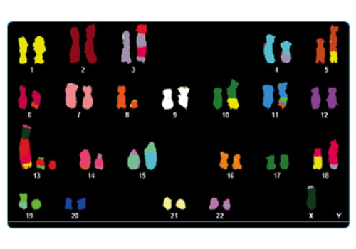 Depositing a cell line with ECACC: the strengths of quality control ...