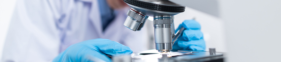 Home | Culture Collections